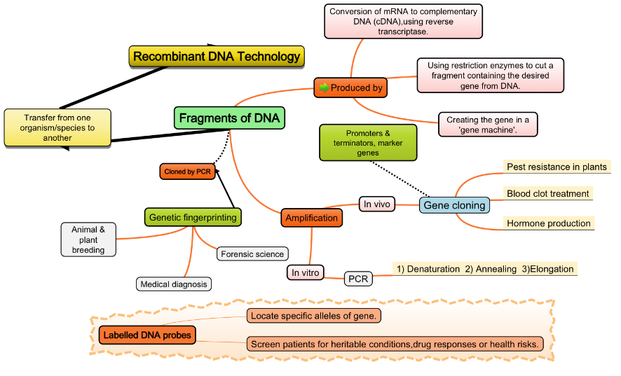 Mind maps — Warminster School